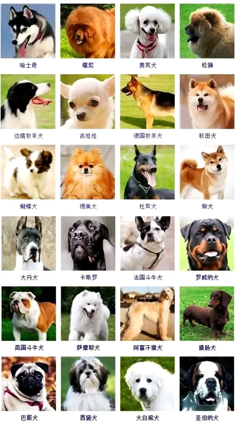 狼和狗究竟有没有生殖隔离? 为什么?