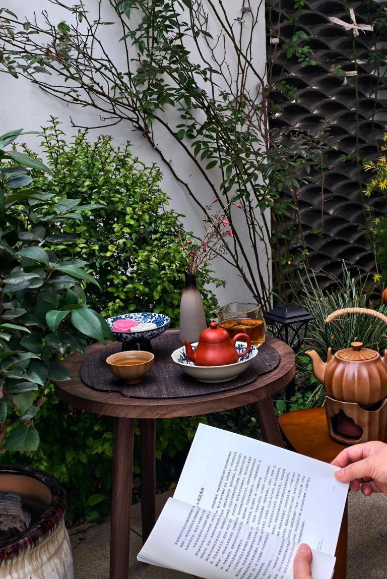 我想有个院子，读书喝茶，只闻花香不谈喜悲