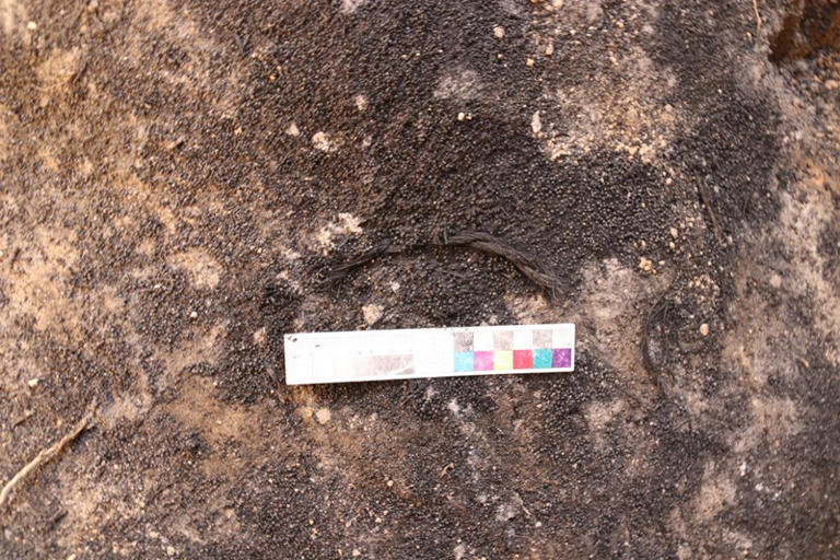 陕西发布2025年度六大考古新发现