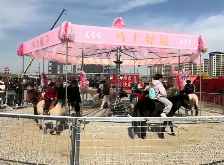 西安一景区现“旋转真马”，6匹马被固定并反复转圈，遭质疑“虐待动物”