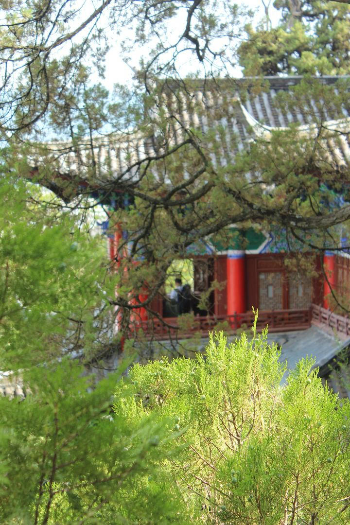 木府凭什么流传六百年?靠的从不是武力，而是智慧与忠诚