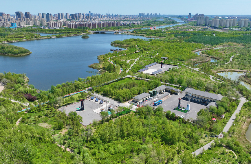 胜利油田：鸟儿住上带“电梯”的“洋房”