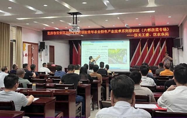 省专家送技到云安为蔬菜种植“开良方”