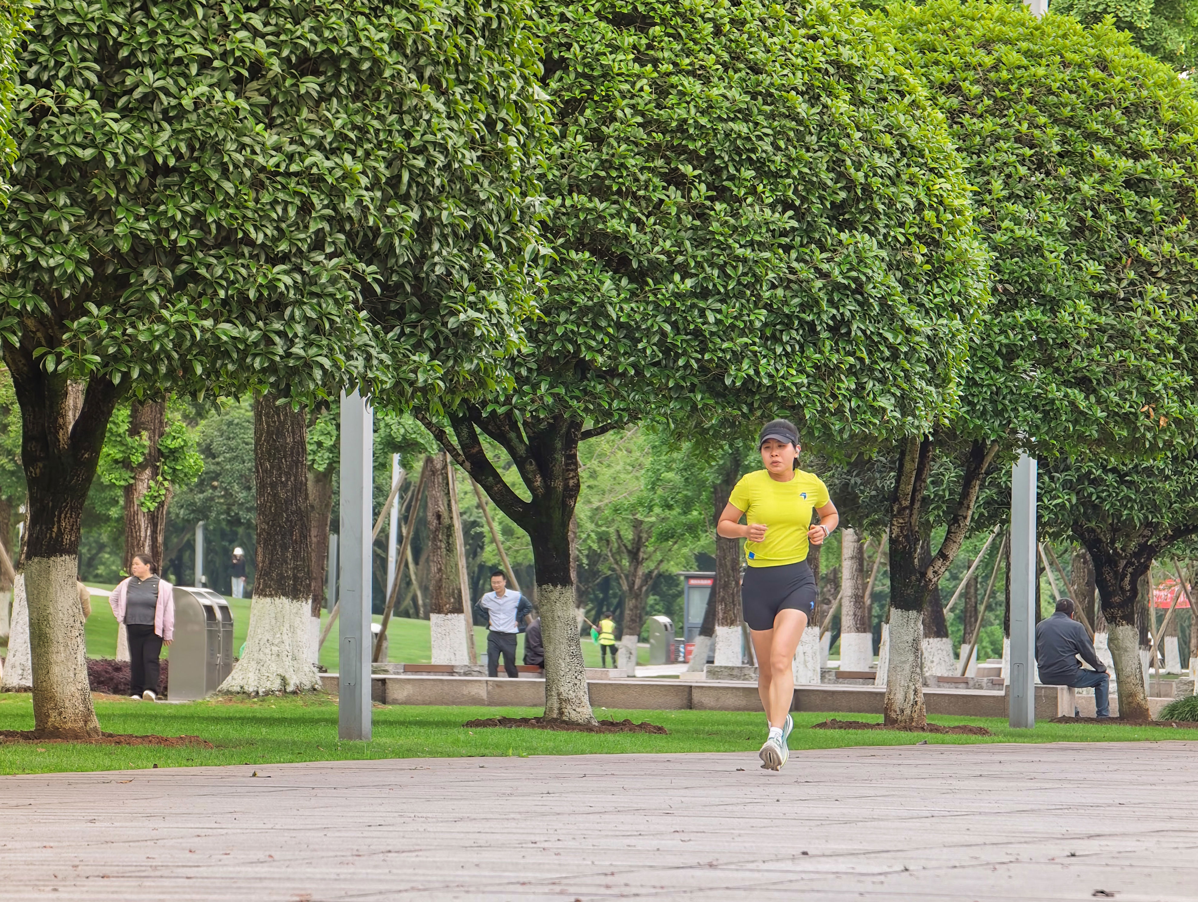 图片新闻｜雨过天晴 公园空气清新怡人