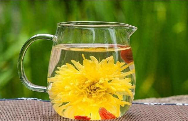 56岁男子每天泡菊花茶，坚持9个月后去体检，医生赞叹：值得学习