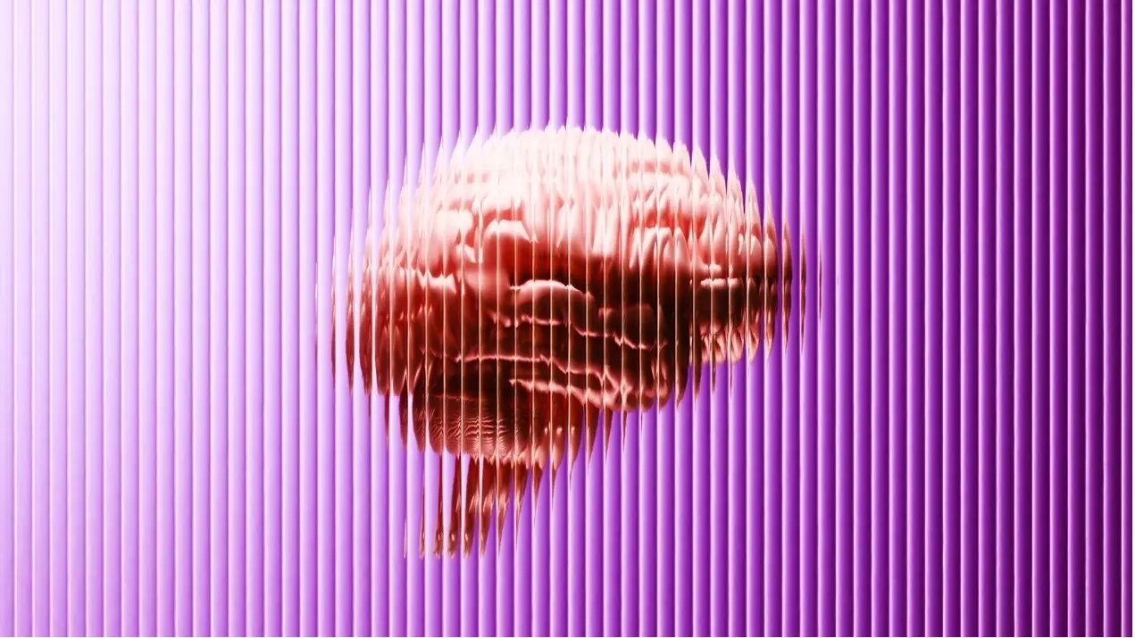 神经科学揭秘：睡眠不足时，你的大脑究竟在经历什么