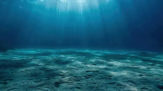 三分陆地七分海洋，抽干海水，海底会藏着什么?