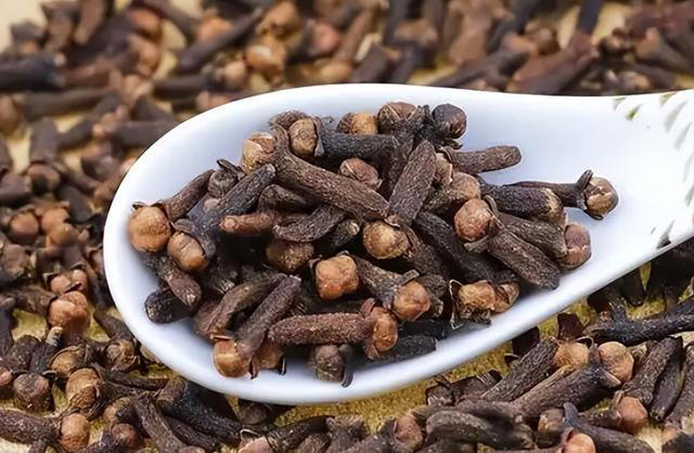 炖肉越吃越香的秘密！这3种出后香调料，少一种都差点意思！