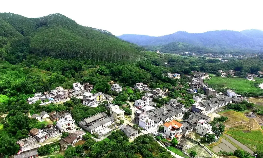 看完《给阿嬷的情书》后劲太大?电影照进现实：从化鳌头镇黄茅村，藏着侨乡的深情往事