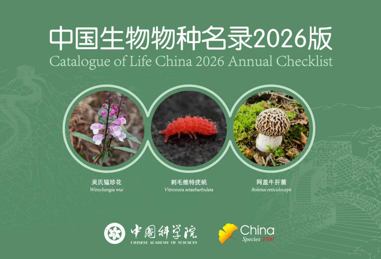 新增6154个! 中国生物物种名录“上新”