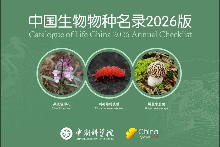 中国生物多样性“家底”更新 新增6154个物种及种下单元