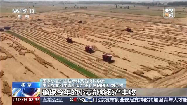 “三夏”抢收正值汛期，如何科学开展“龙口夺粮”?