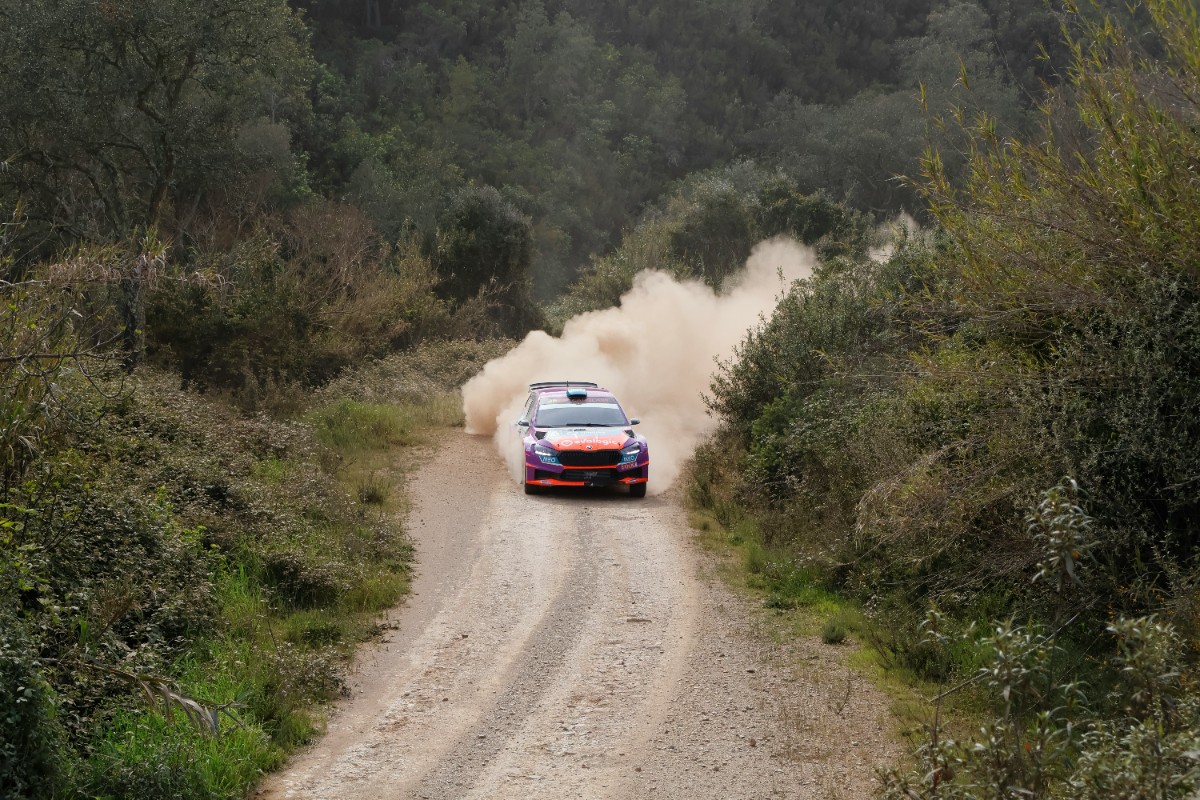 F1、WRC、WEC：三大顶级赛车江湖，谁才是你的速度本命?