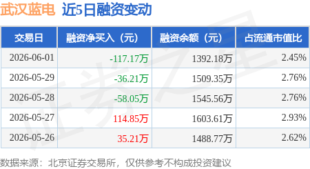 武汉蓝电：6月1日融资买入45.82万元，融资融券余额1392.18万元