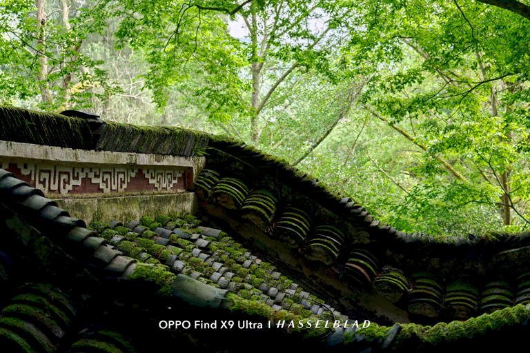 在视频时代，认真拍一张照片：OPPO Find X9 Ultra 影像漫谈