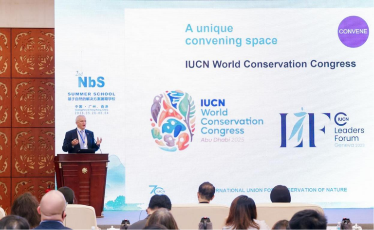 2026年NBS暑期学校落地大湾区，广州打造超大城市生态治理标杆