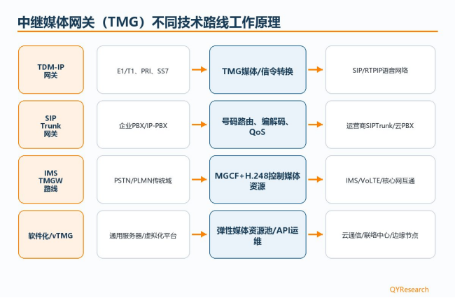 中继媒体网关（TMG）行业洞察：市场规模及增长预测分析