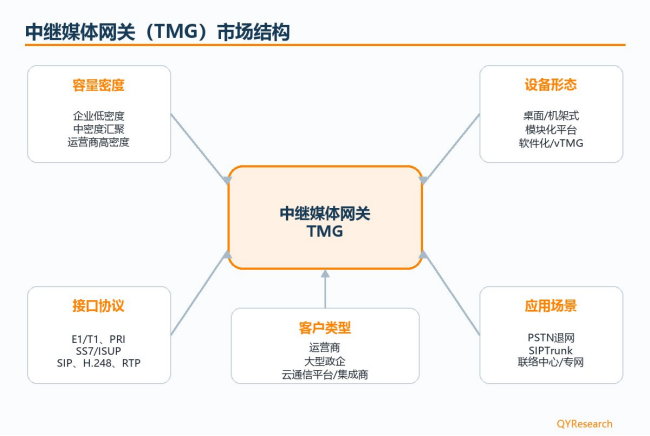 中继媒体网关（TMG）行业洞察：市场规模及增长预测分析