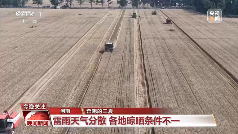 提高麦收效率 他们给田地装上“数字大脑”
