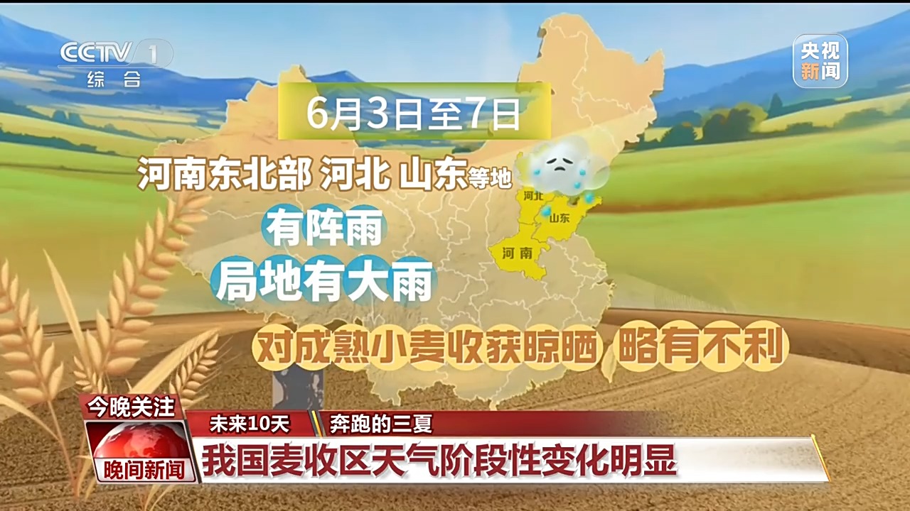 提高麦收效率 他们给田地装上“数字大脑”