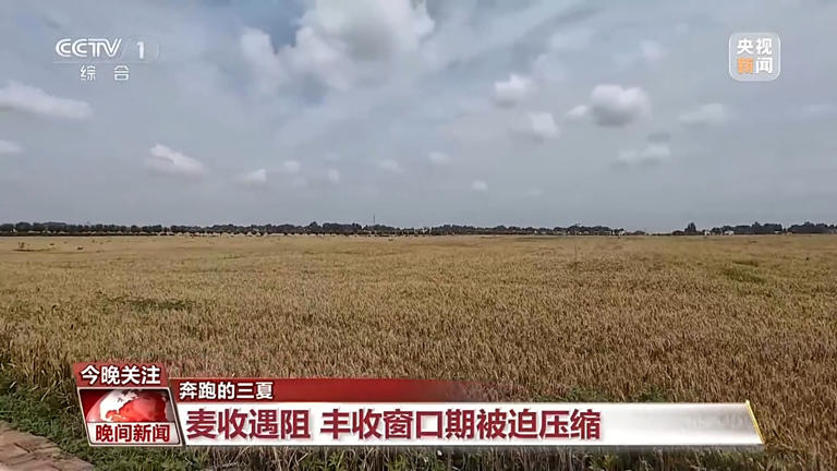 提高麦收效率 他们给田地装上“数字大脑”