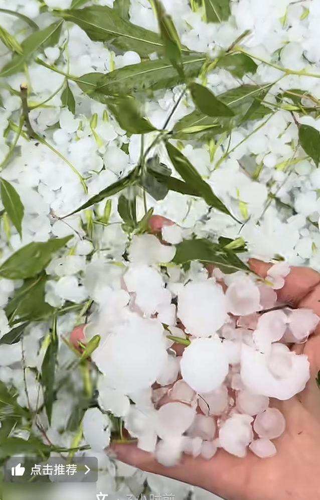 河北固安午后突降大冰雹持续近半小时街道竟如雪覆盖