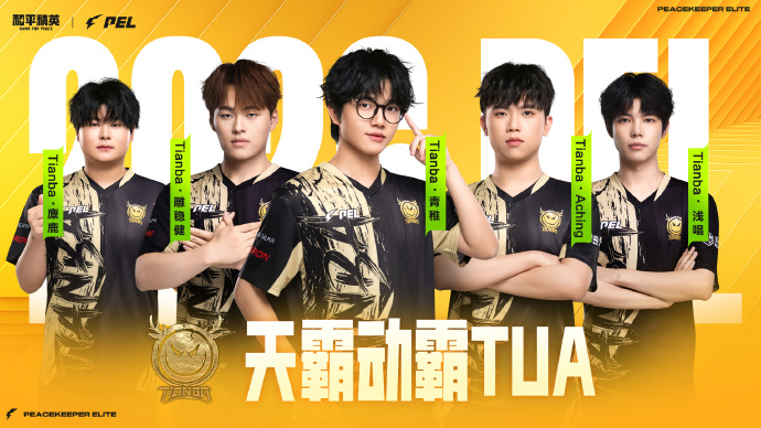 STE/TC/TEC/TT/TJB/Tianba/VS/WBG出征海报最后来袭