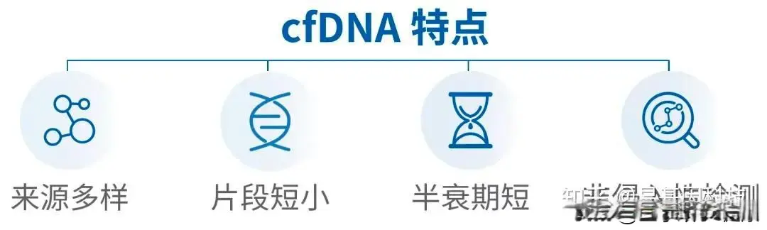 循环游离DNA（cfDNA）