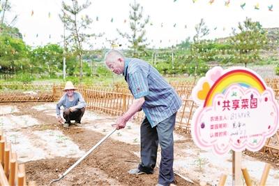 闲置地变身“开心农场” 土地领养撬动农旅融合