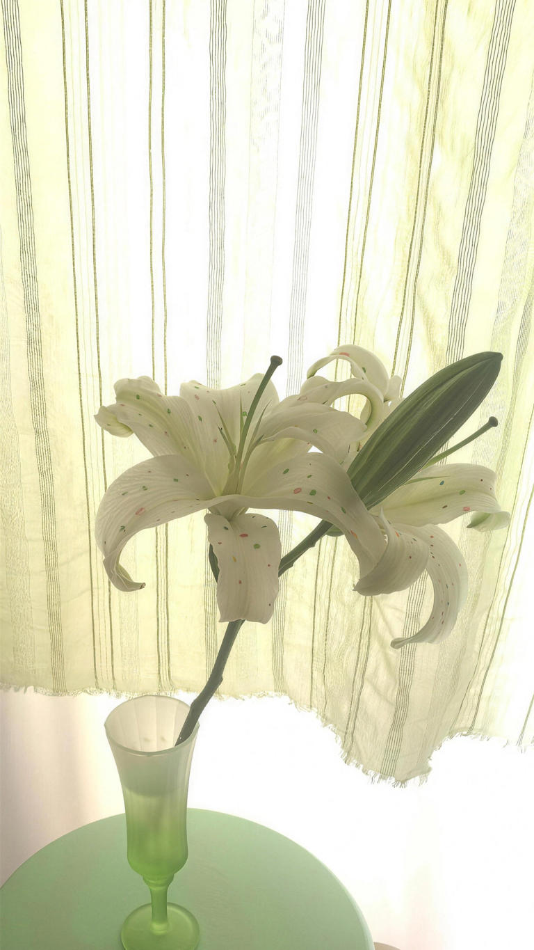 Hello Kitty伞一撑，整个雨天都变甜了!
