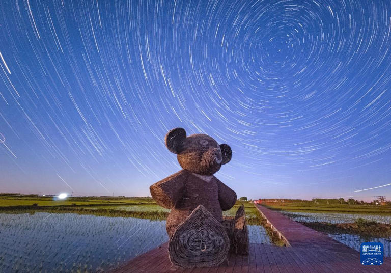 星空相册丨新禾映星河 “北大仓”的稻田星光画卷