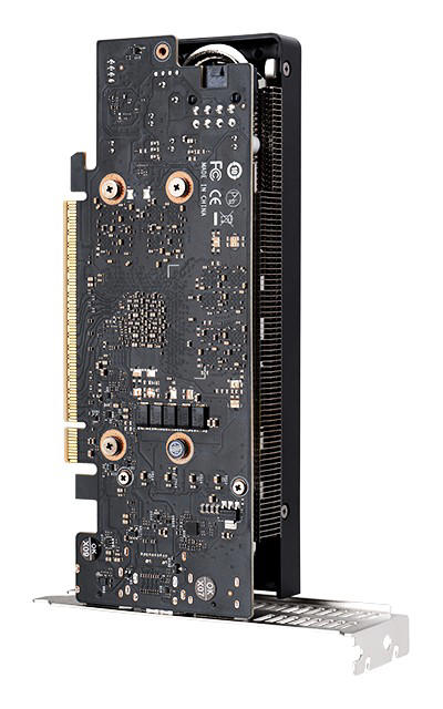 铭瑄半高双槽显卡 GeForce RTX 5060 LP 8G S0 上市，3399 元