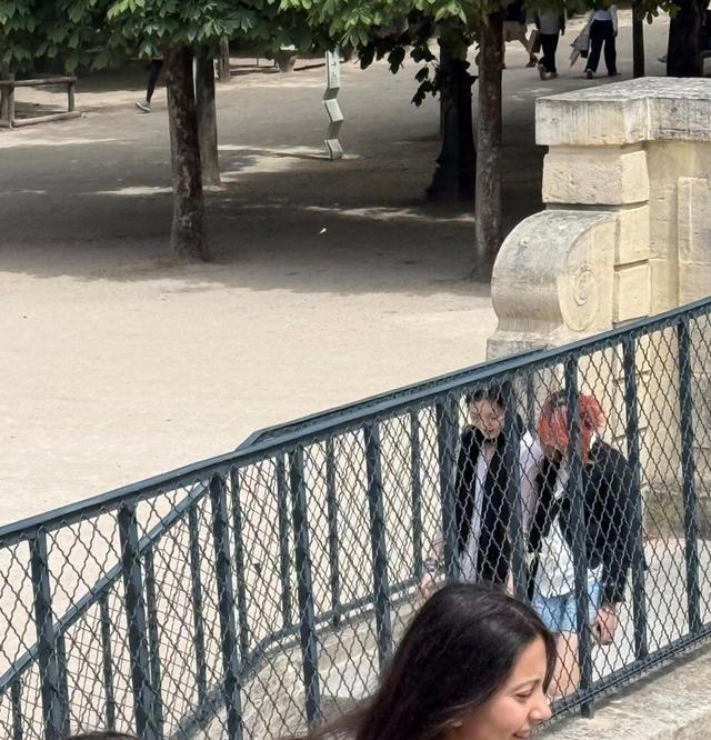 网友法国偶遇李嫣，原来最像王菲的还是这个小女儿!