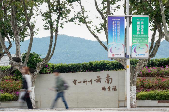 视窗｜满城南博风，春城迎盛会