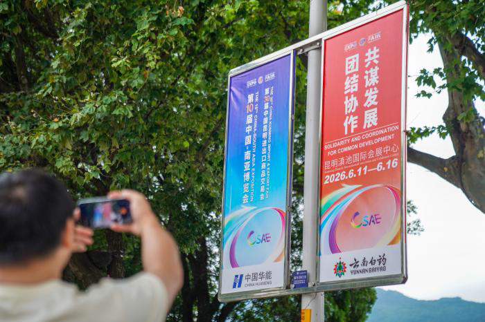 视窗｜满城南博风，春城迎盛会