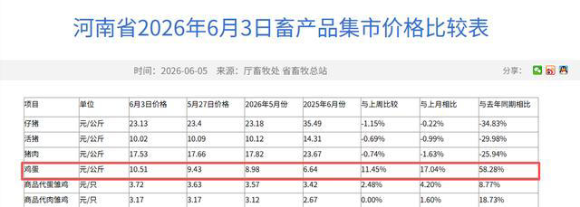 几乎一天一个价? 鸡蛋价格暴涨! 专家解答鸡蛋涨价原因