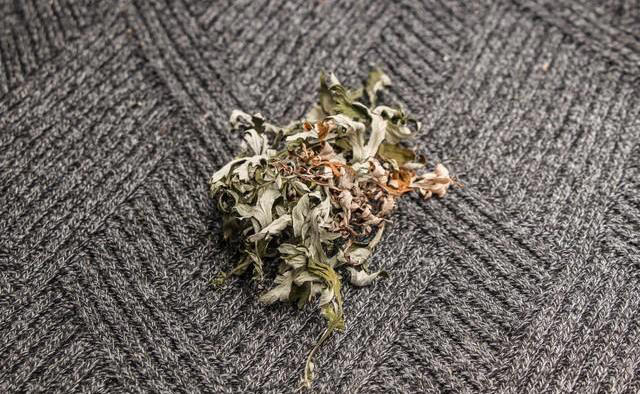 端午挂艾草多久合适? 七天还是夏至