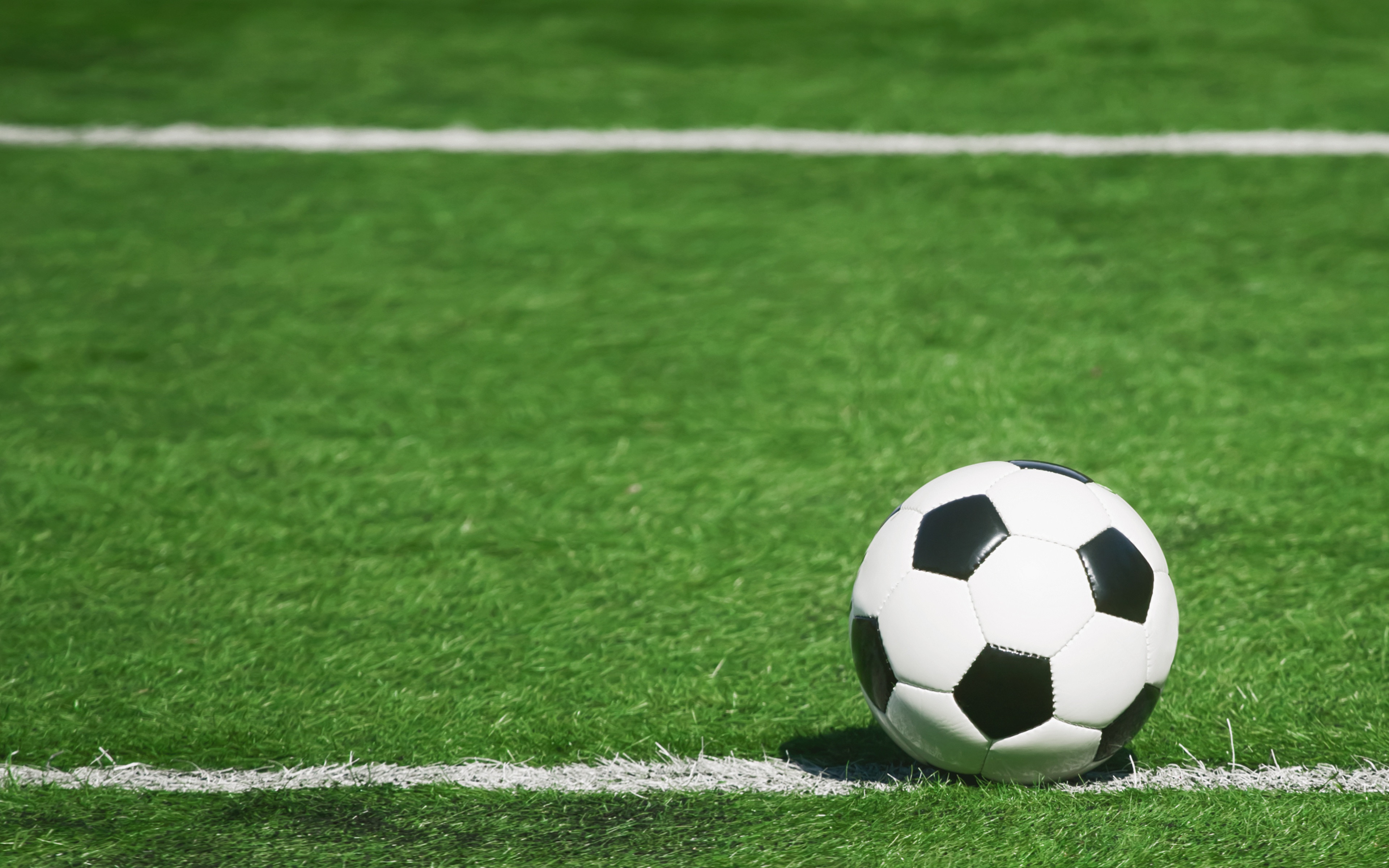 “东北超”要来了! 将于5月正式开赛